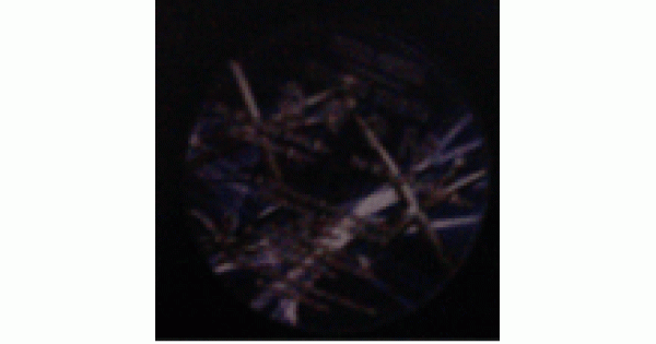 Peter Presta pres. Stephen Seidita - Doom - BimotorDJ