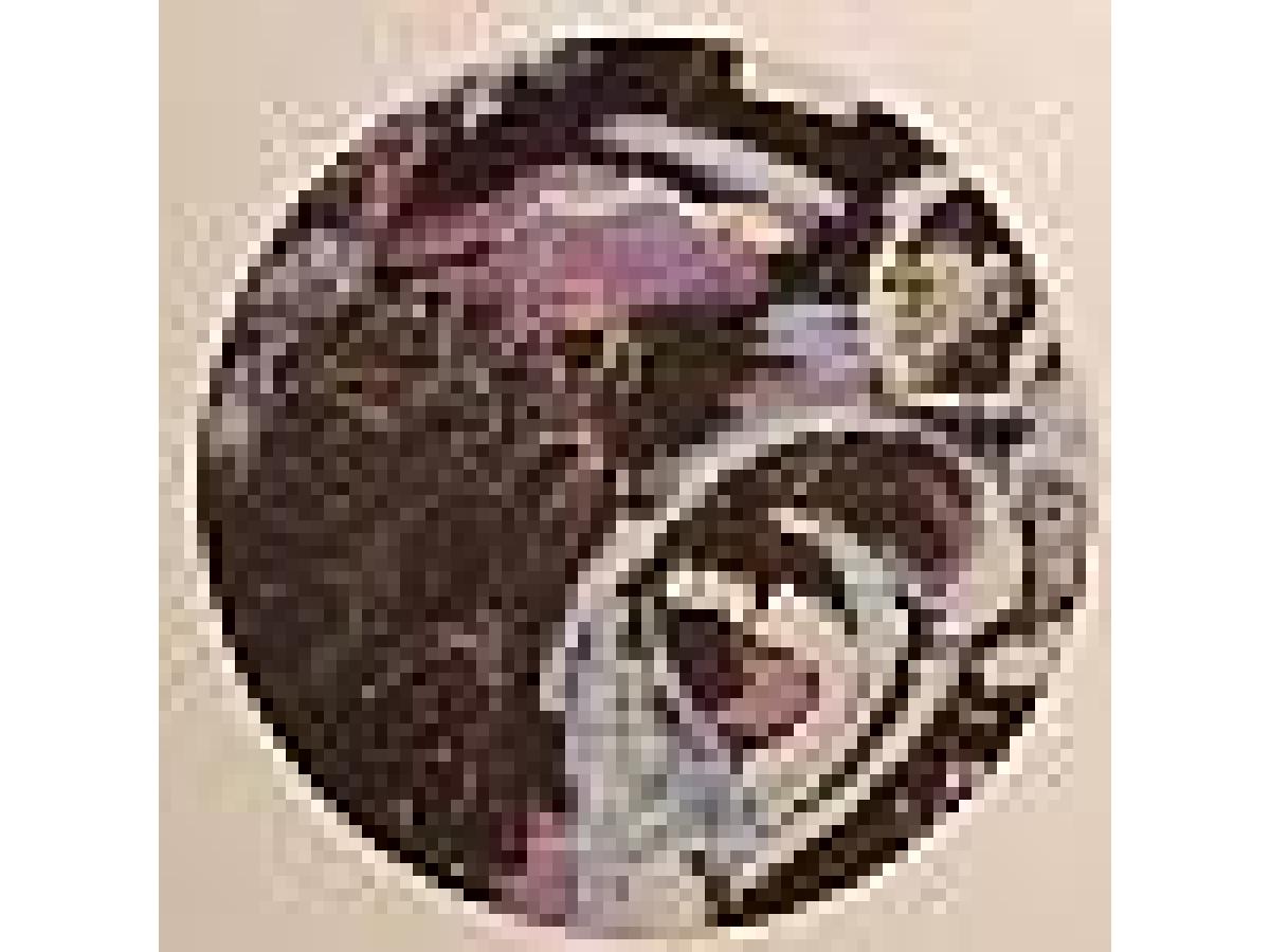 Ray Charles - Eleanor Rigby (Quentin Harris Mixes) - BimotorDJ