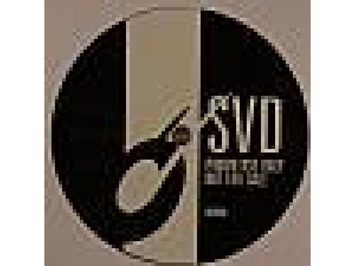 svd - svd - BimotorDJ