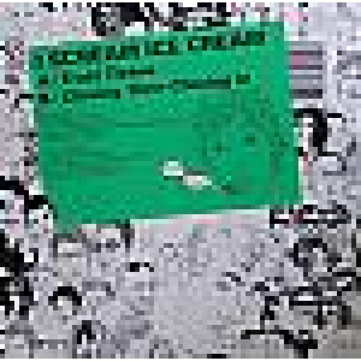I Scream Ice Cream - Trust Tissue - BimotorDJ