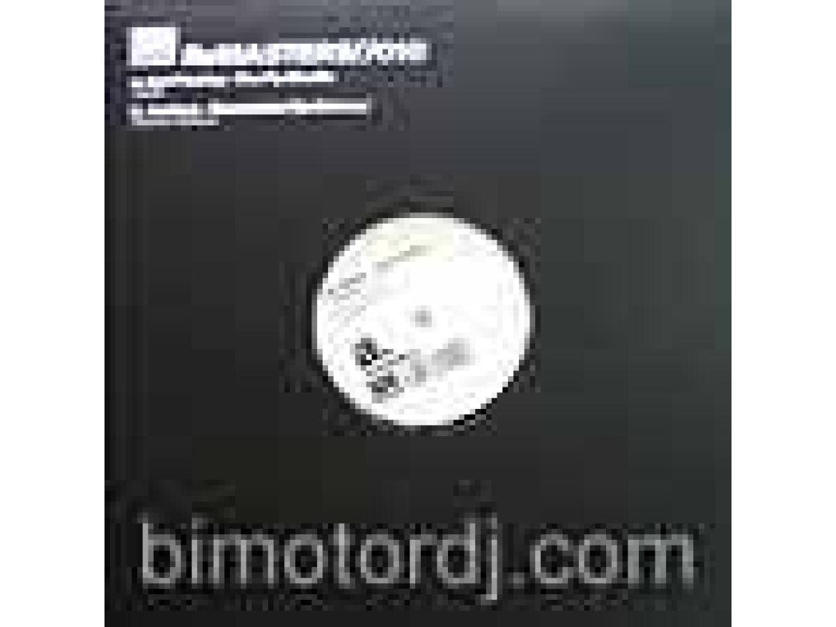 ian pooley - joshua - the fly shuffle - remember - earthtones - BimotorDJ