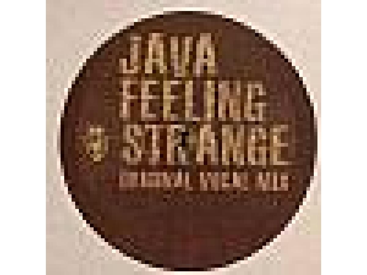 Java - Feeling Strange - BimotorDJ