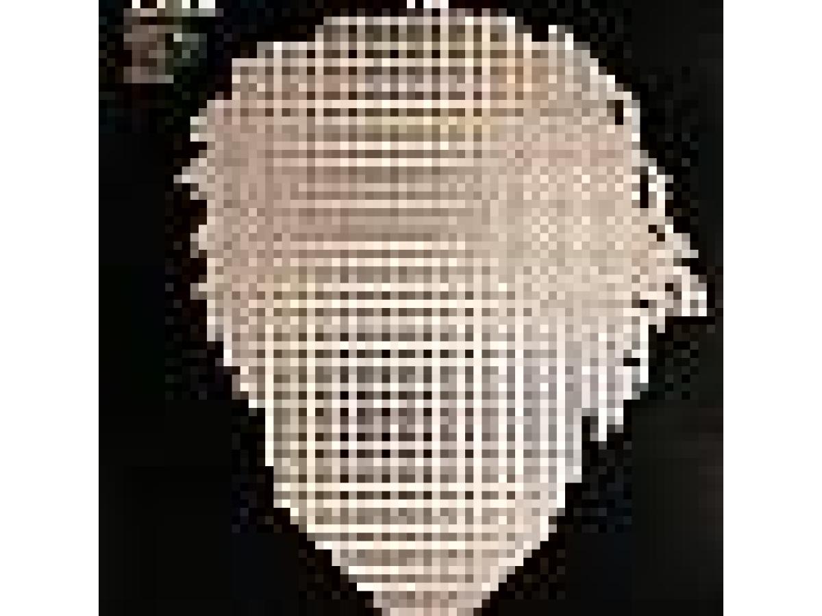 Paul Woolford presents Bobby Peru - Knives - BimotorDJ